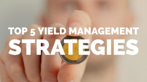 Top 5 Yield Management Strategies That Will Boost Profitability