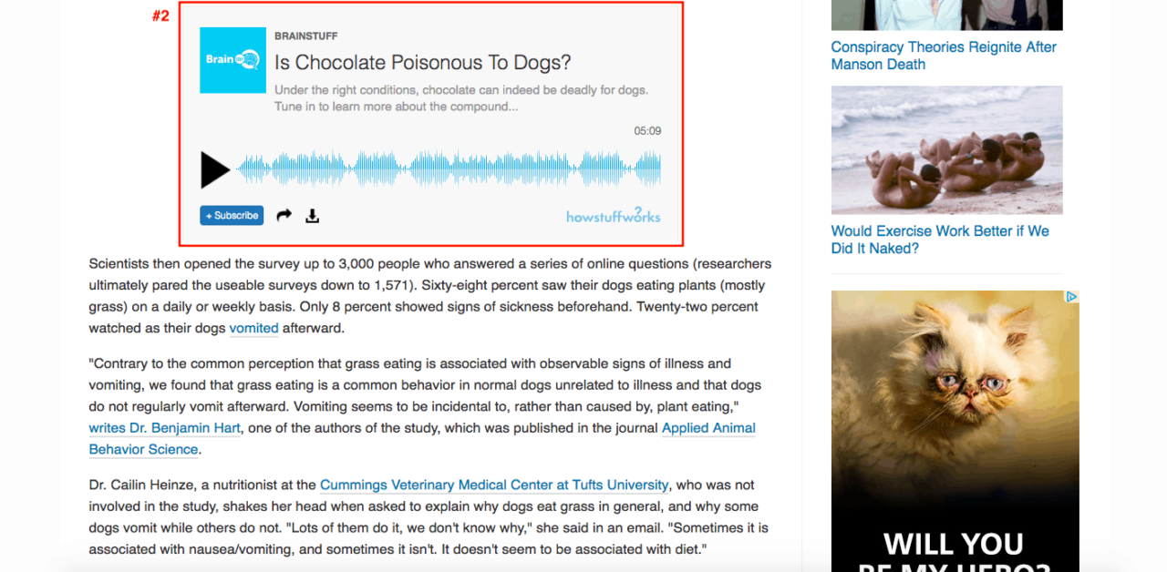 HowStuffWorks.com Programmatic Ad Deep Dive By MonetizeMore